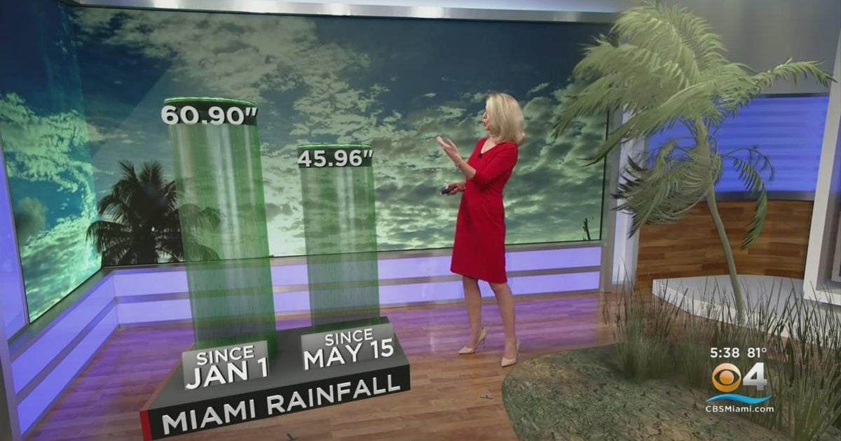 Dry season has arrived in South Florida - CBS Miami