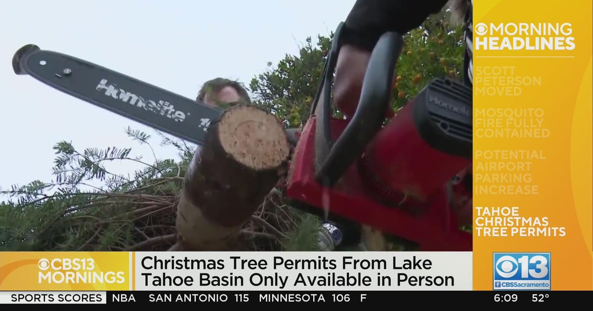 Christmas tree permits for Lake Tahoe Basin only available in person ...