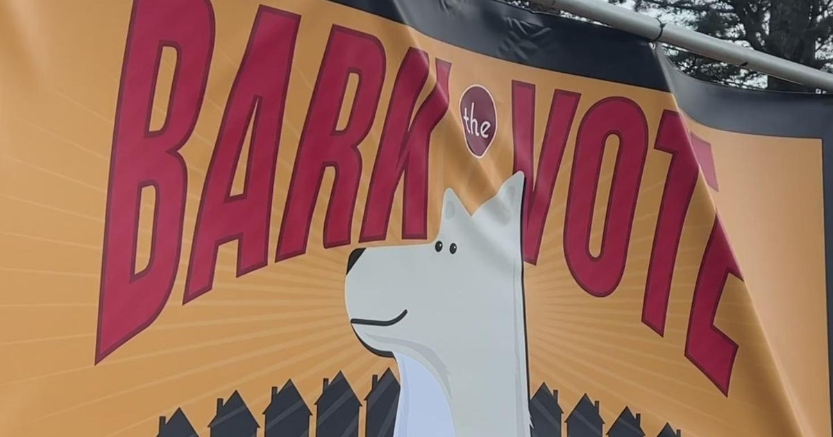 San Francisco dog owner encourages voting through canine community ...