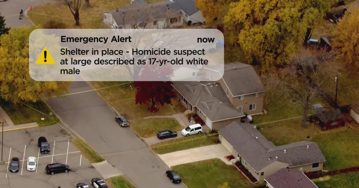 Teen's attack on family in Roseville prompted shelter-in-place warning ...