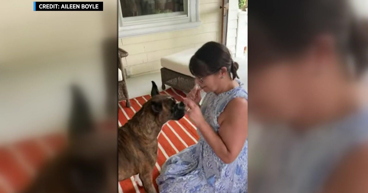 Veterinarian who survived cancer writes book about how dogs helped her ...