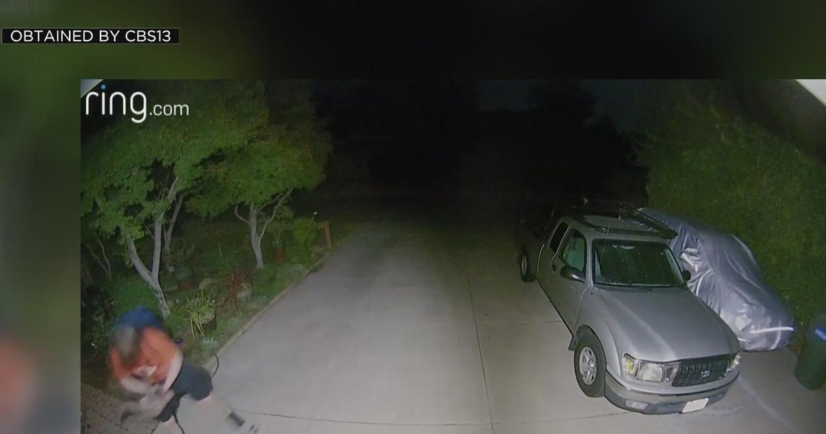 Surveillance shows Orangevale cat killer suspect taking another cat ...