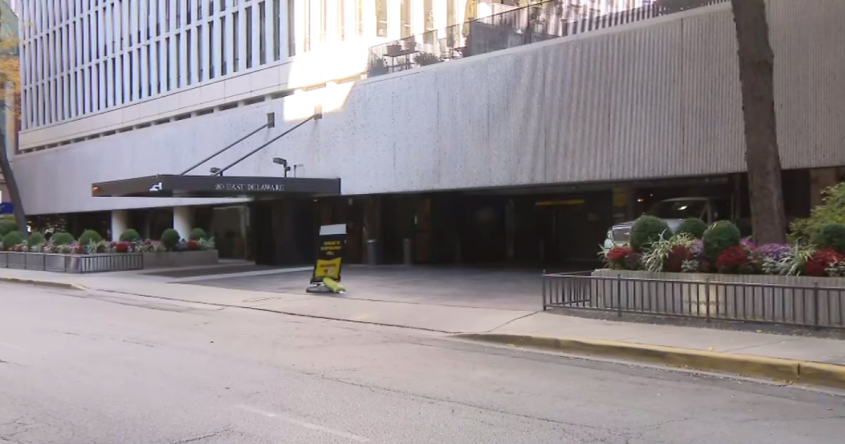 Men robbed valet, stole cars from Streeterville garage - CBS Chicago Men robbed valet, stole cars from Streeterville garage - CBS Chicago