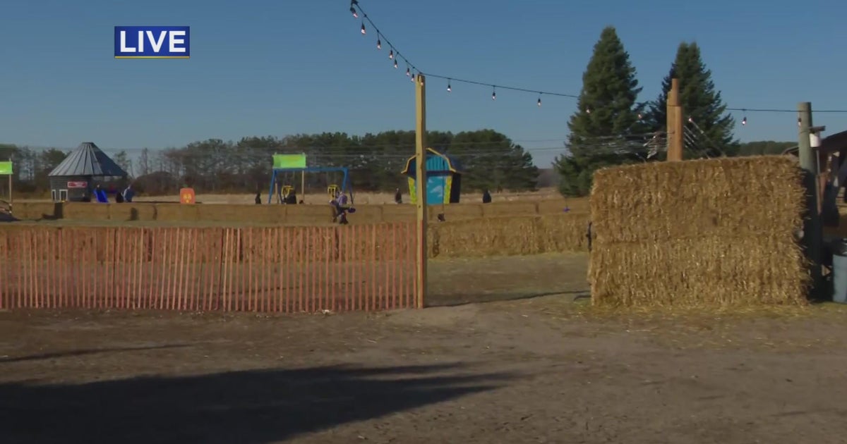 Families seeking Halloween fun head to Pinehaven Farm - CBS Minnesota