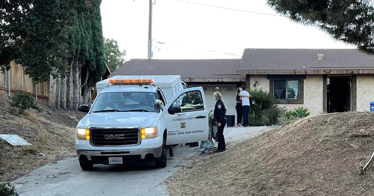16-year-old girl in serious condition after being attacked by multiple dogs in Thousand Oaks ...