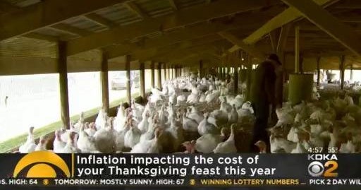 Inflation impacting cost of Thanksgiving dinner - CBS Pittsburgh