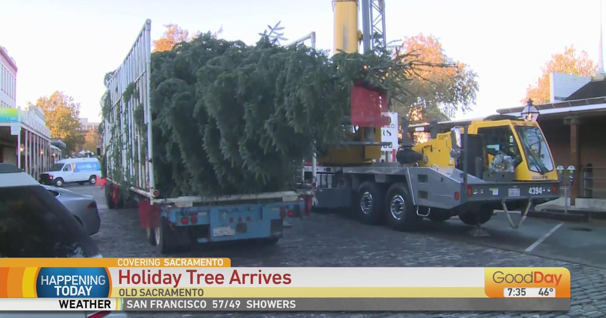 Old Sacramento's holiday tree arrives - CBS Sacramento