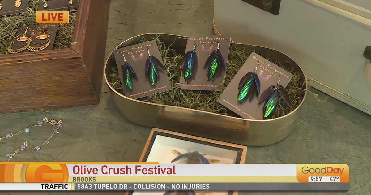 Olive Crush Fesitival - Good Day Sacramento
