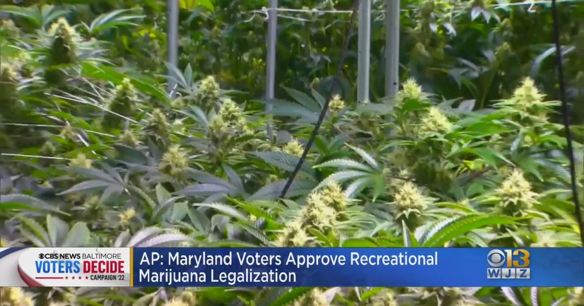 AP: Marijuana voters approve recreational marijuana legalization - CBS ...