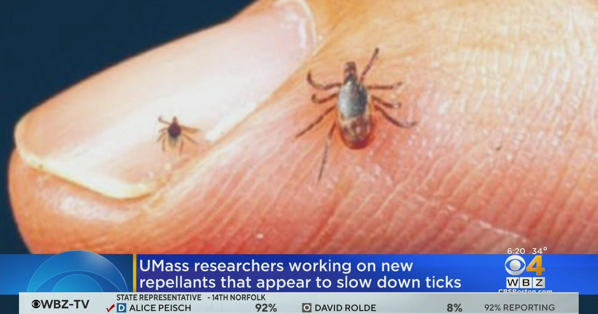UMass researchers working on new repellents that appear to slow down ...