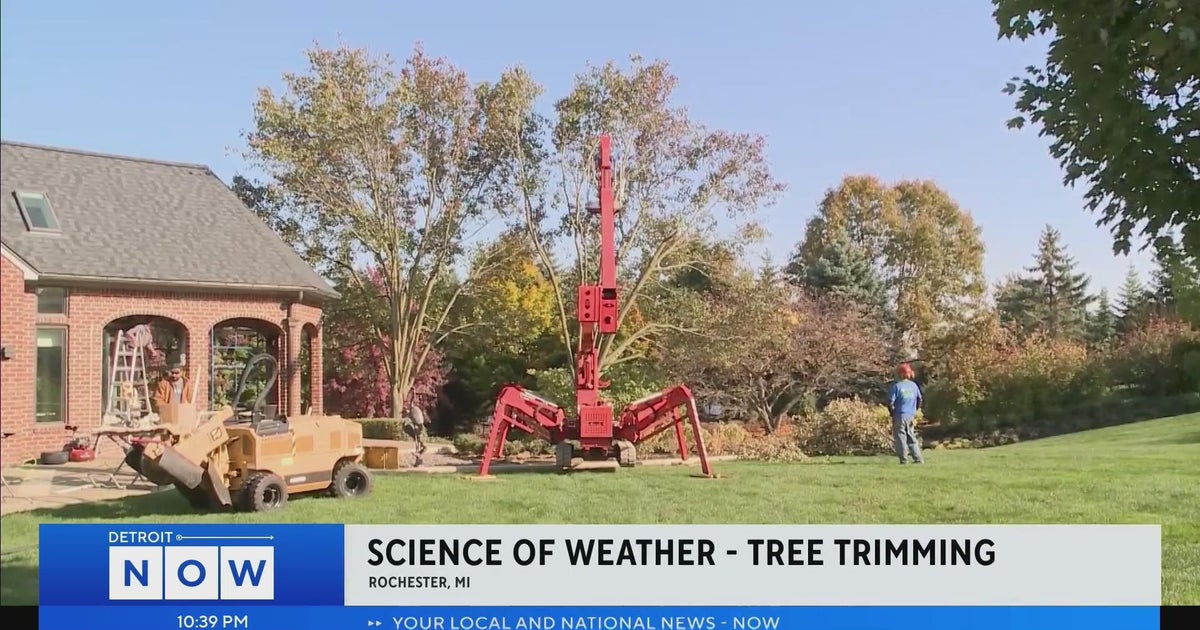 Science of Weather: Tree Trimming - CBS Detroit