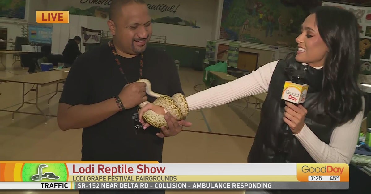 Lodi Reptile Expo - Good Day Sacramento