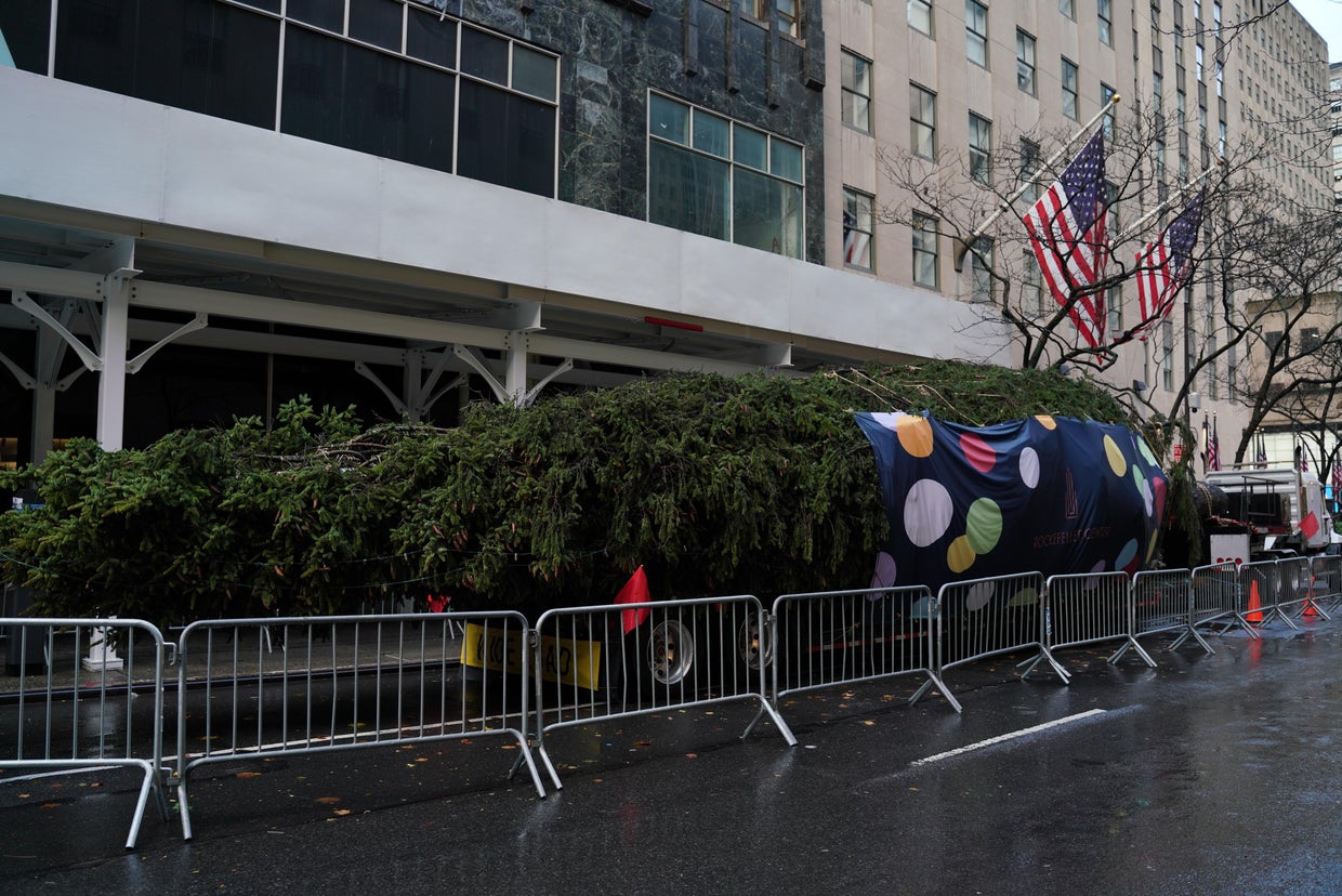 2022 Rockefeller Center Christmas tree arrives in Manhattan