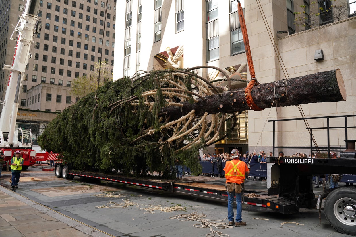 2022 Rockefeller Center Christmas tree arrives in Manhattan