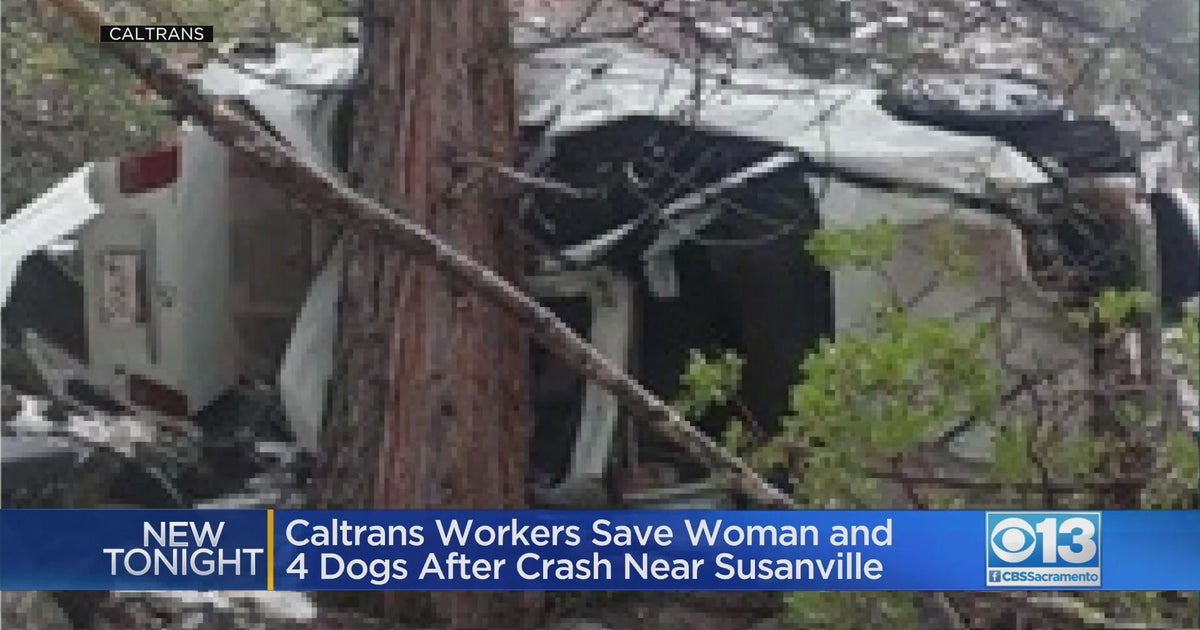 Caltrans workers save woman and 4 dogs after crash near Susanville ...