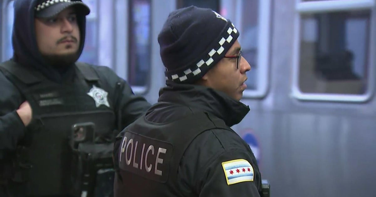 Ahead of holiday shopping season, police seek to reassure public about ...