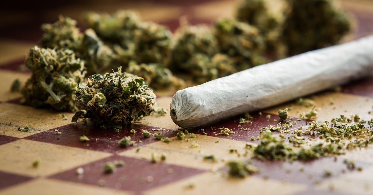 Marijuana smoke harms lungs in tobacco smokers, study finds - CBS Detroit Marijuana smoke harms lungs in tobacco smokers, study finds - CBS Detroit