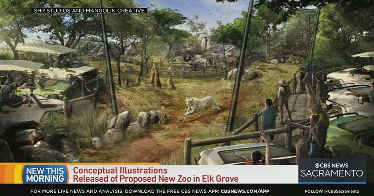Conceptual drawings of proposed new zoo in Elk Grove released - CBS ...
