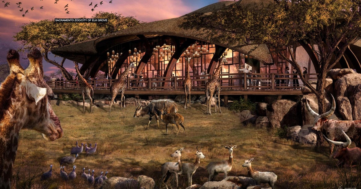 Conceptual drawings released of proposed new zoo in Elk Grove - CBS ...