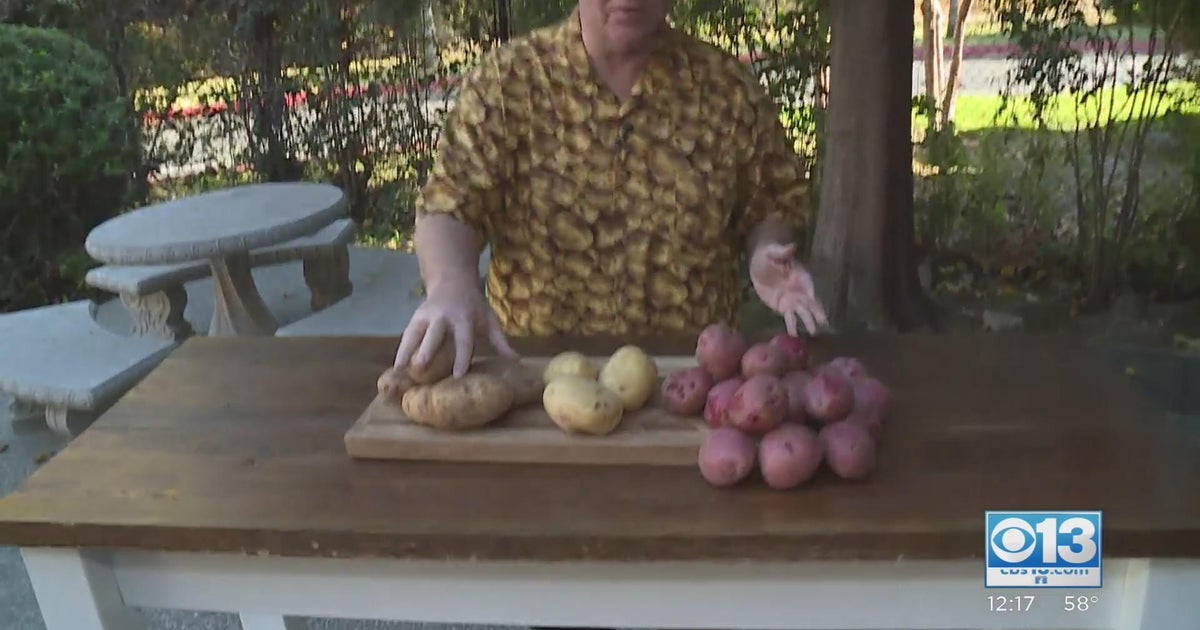 Lunch Break: What potatoes to use? - CBS Sacramento