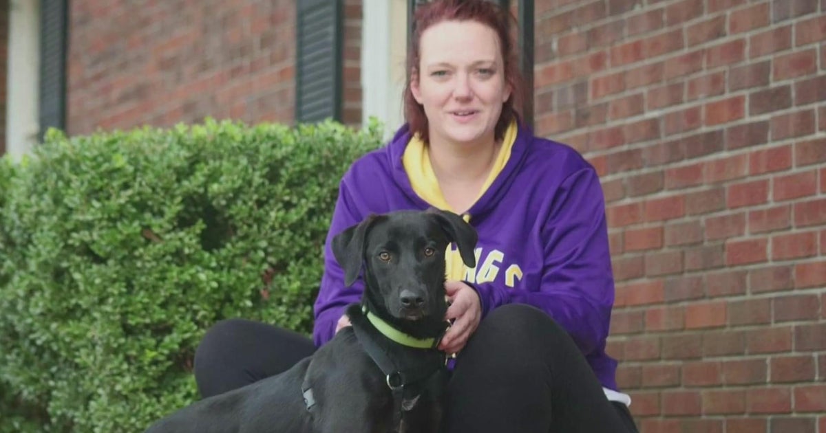 Family of Deona Marie Knajdek prepares to face driver who killed her ...