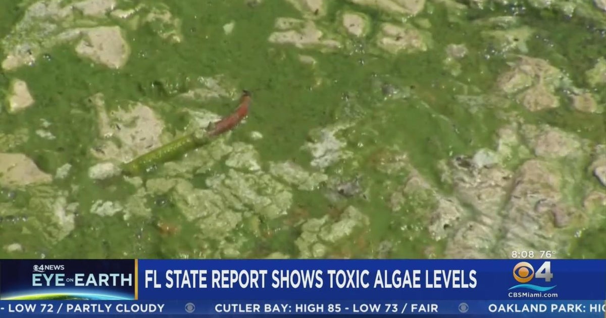 Eye on Earth: Ian runoff fueling toxic algae bloom along Florida ...