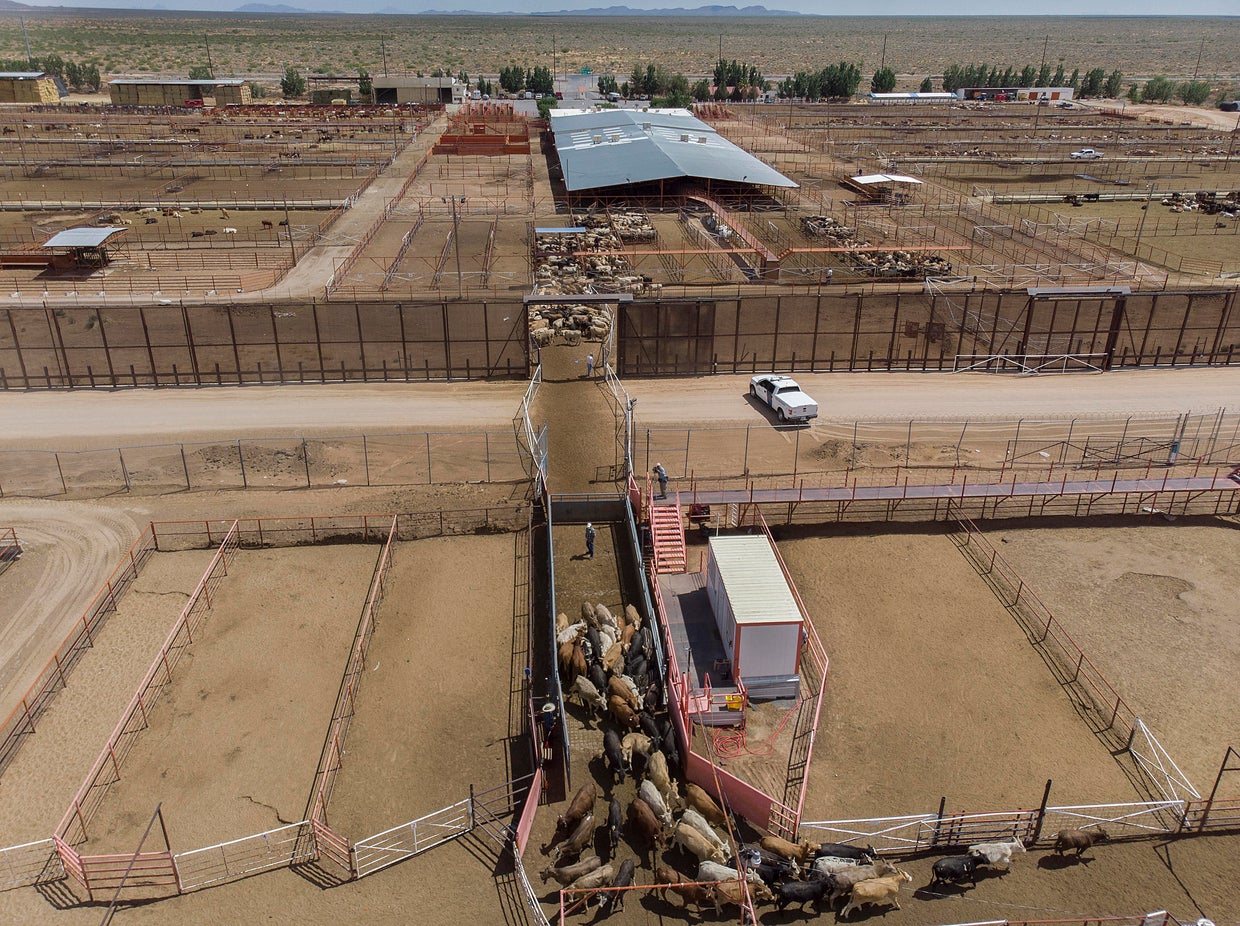 Strange border photos from around the world