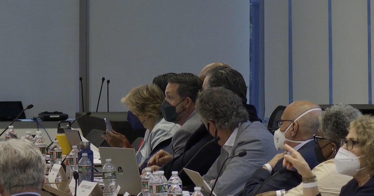 DNC panel makes Michigan an early presidential primary state - CBS Detroit