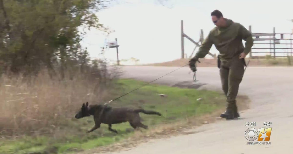 Search for missing North Texas 7-year-old Athena Strand shifts toward ...