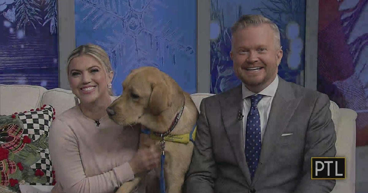 PTL Pupdate: Donny - CBS Pittsburgh