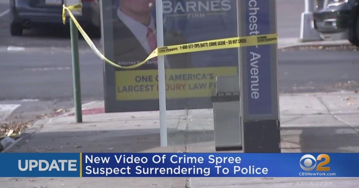 New video shows crime spree suspect surrendering to police in Brooklyn ...