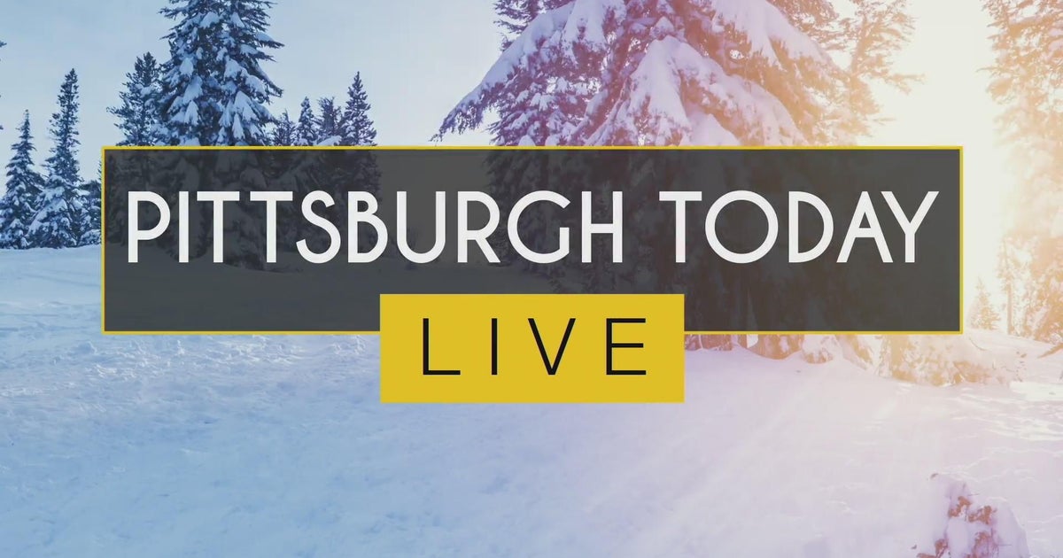84 Lumber and the 78-Foot Christmas Tree - CBS Pittsburgh