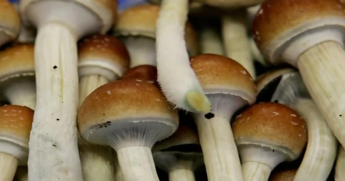 State Sen. Scott Wiener re-introduces proposal to legalize psychedelics ...