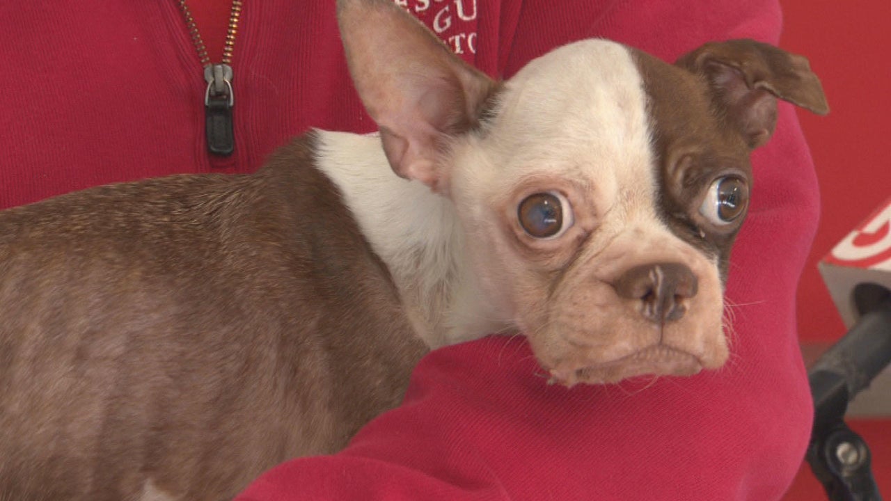 Stories About Dedham News - CBS Boston