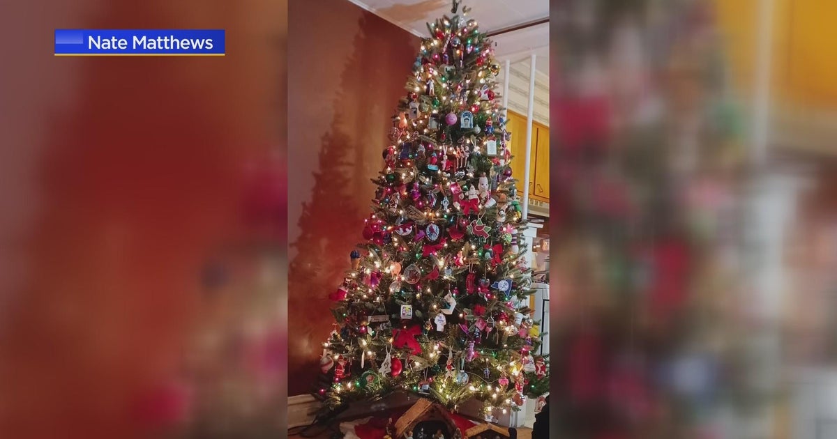 Holiday Photos: Viewers spreading holiday cheer with their - CBS Chicago