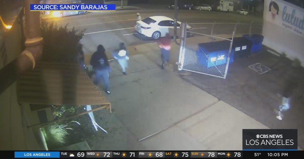 Caught on Camera: Thieves accidentally break into diaper cleaning ...