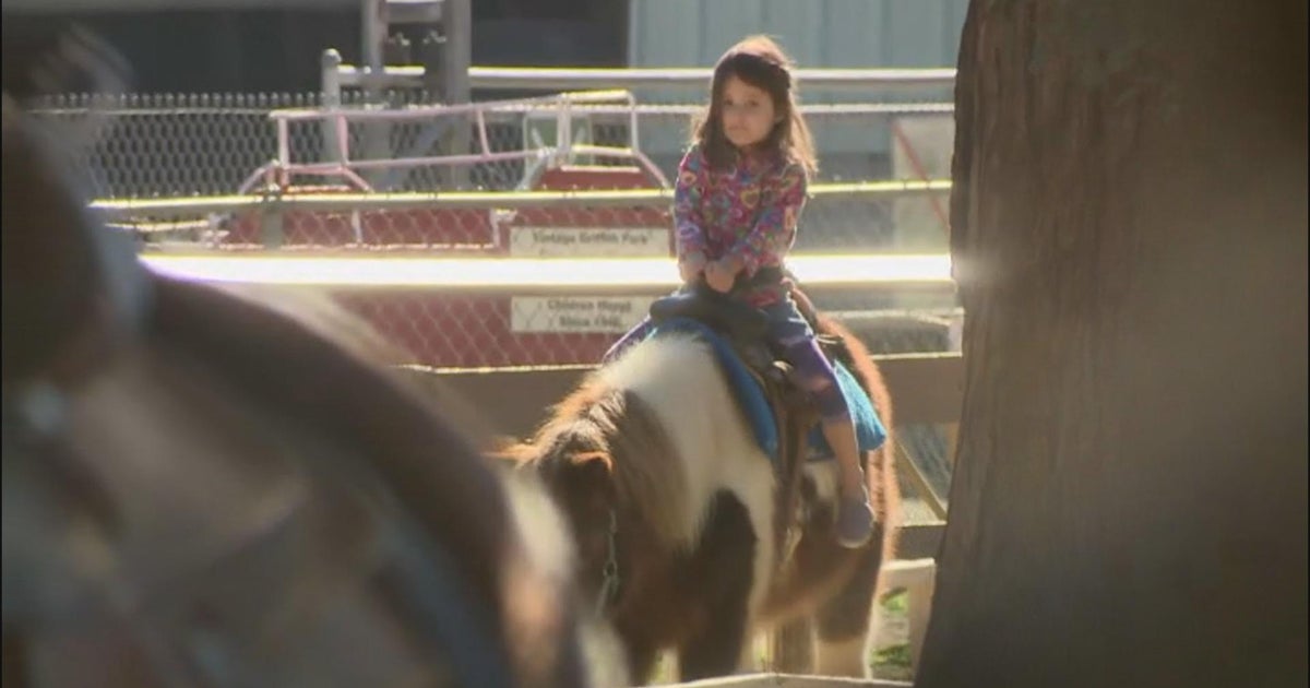Iconic Griffith Park pony ride reaches the end of its trail - CBS Los ...