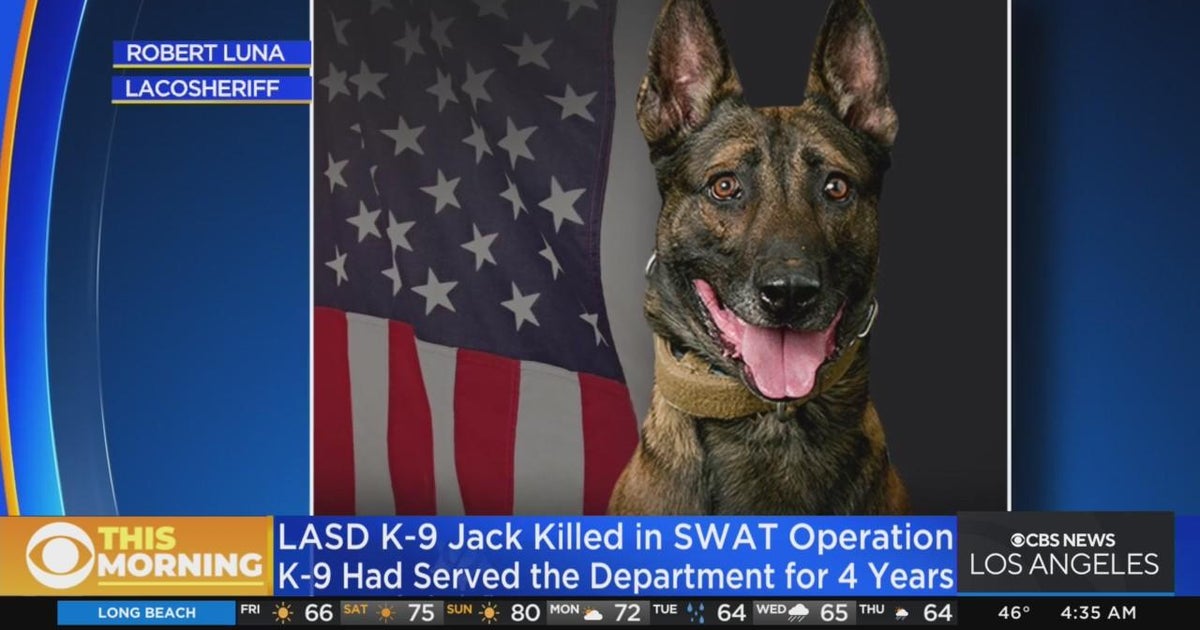 Sheriff's K-9 killed in Gardena SWAT standoff - CBS Los Angeles