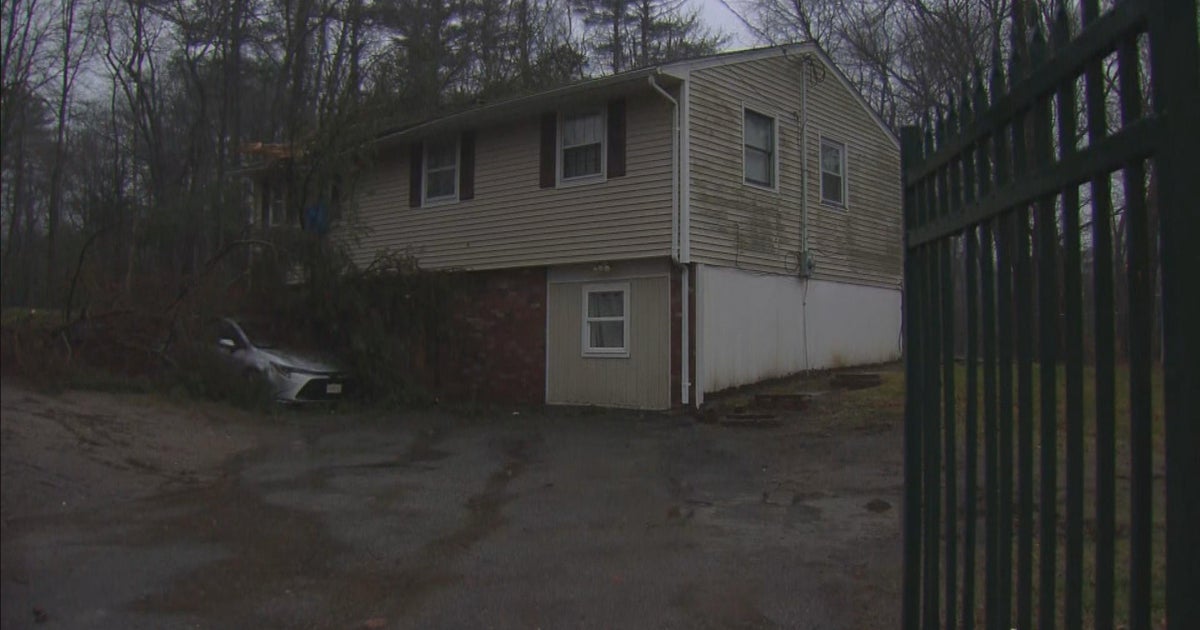 Tree crashes into North Andover living room - CBS Boston