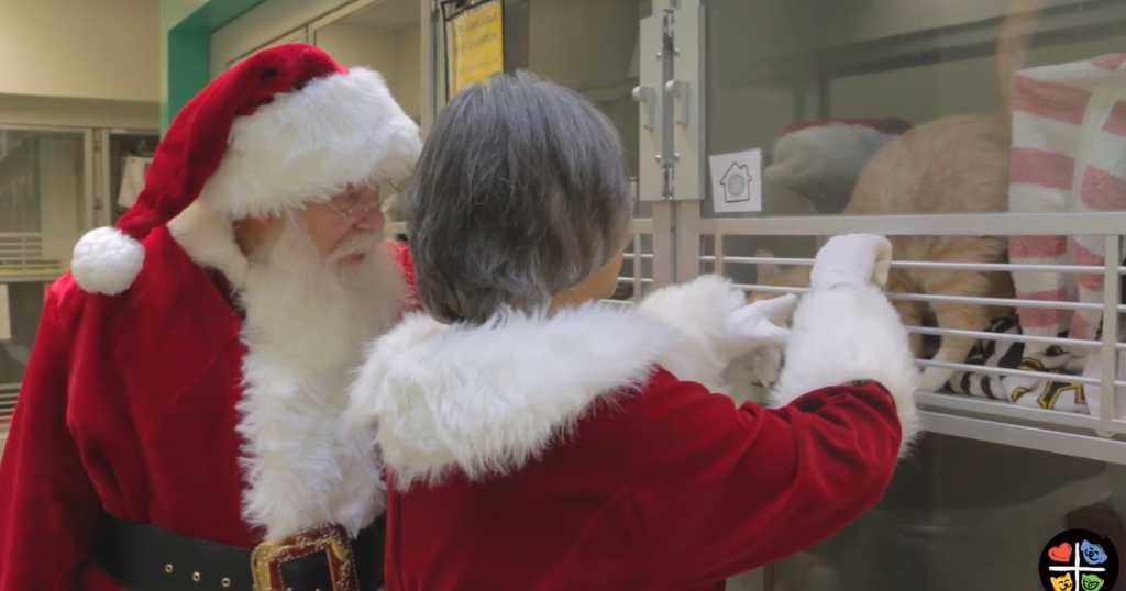 Santa and Mrs. Claus visit cats and dogs at Humane Animal Rescue of ...