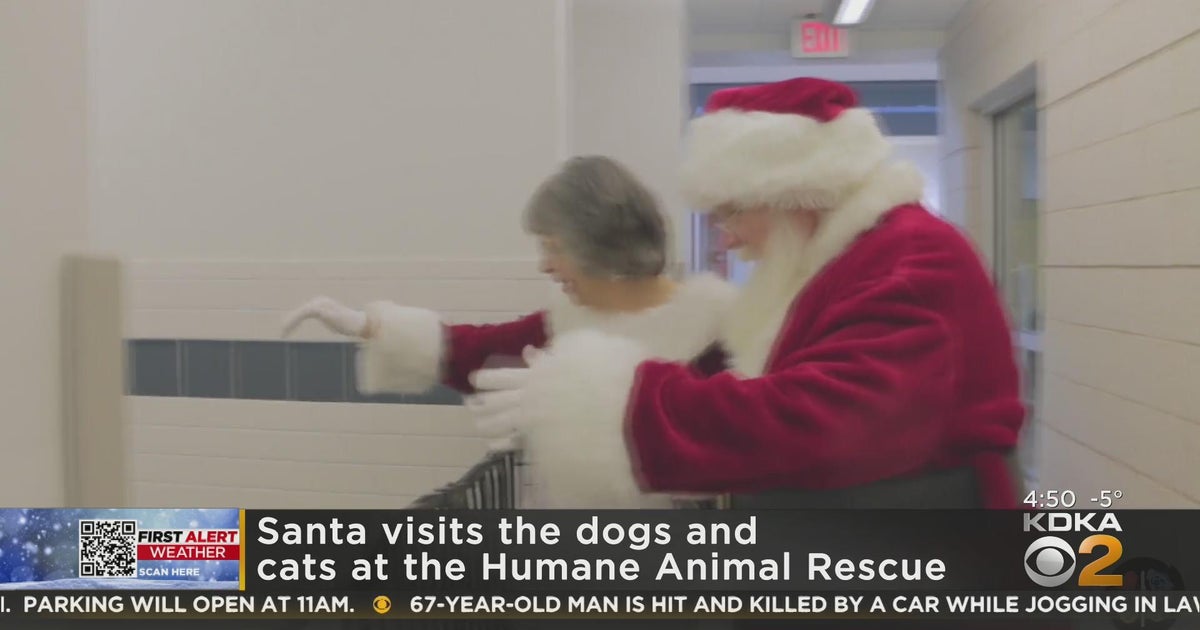 Santa visits the dogs and cats at the Humane Animal Rescue - CBS Pittsburgh