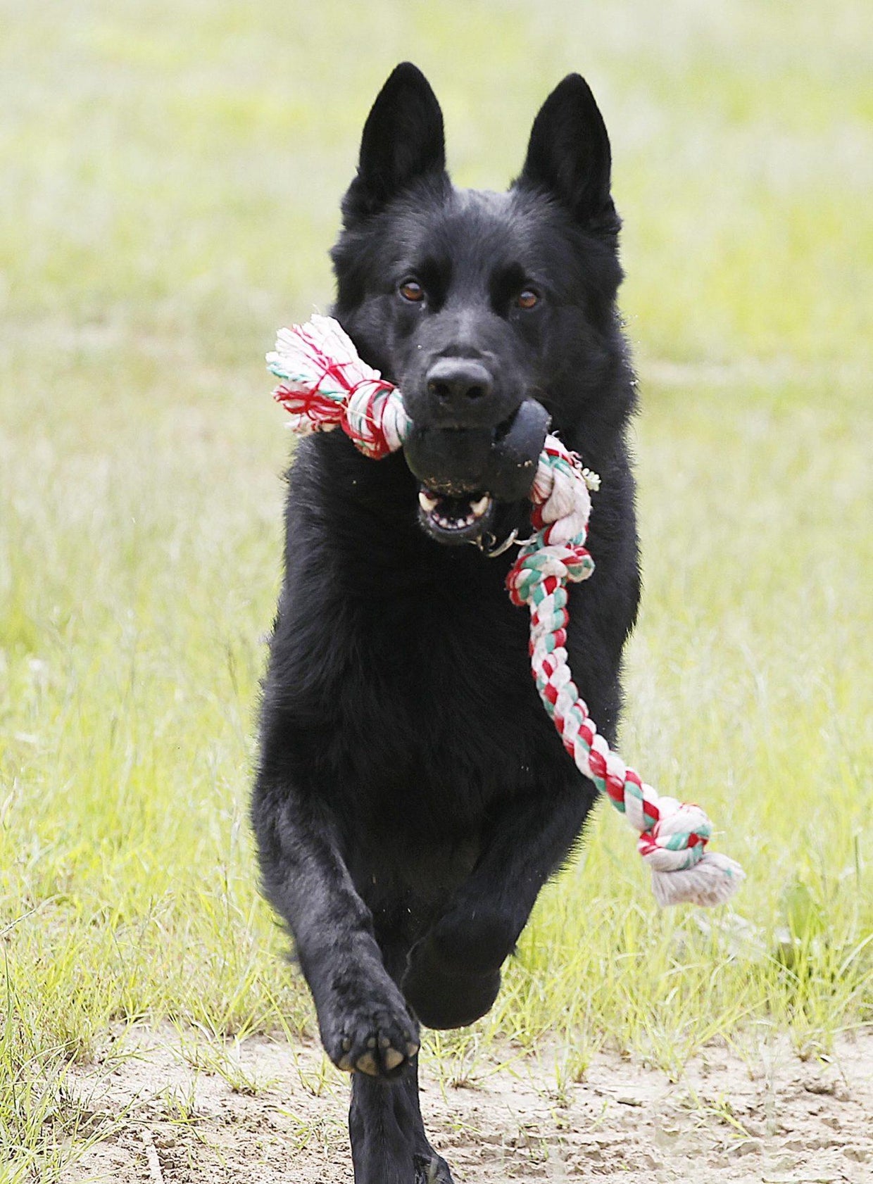 'He was my best friend,' Raynham police mourn unexpected death of ...