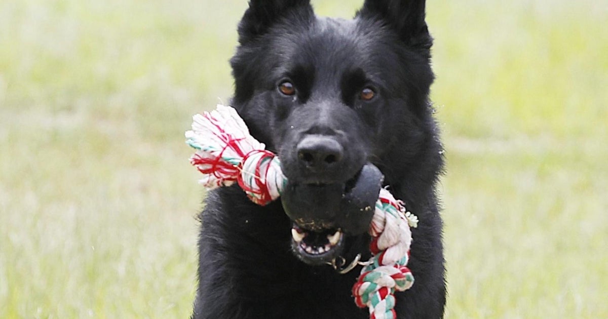 'He was my best friend,' Raynham police mourn unexpected death of ...