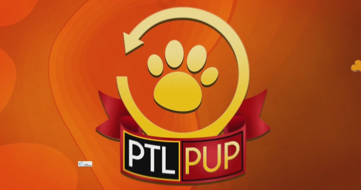 PTL Pupdate: Donny - CBS Pittsburgh