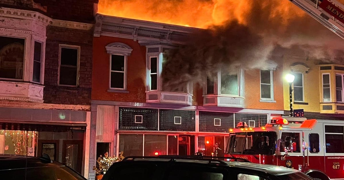 Pet shop, other businesses, destroyed in Mendota fire - CBS Chicago