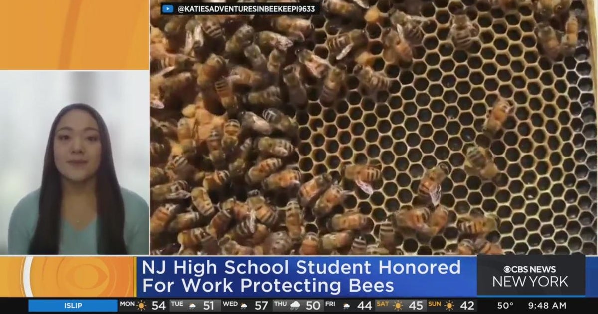 New Jersey "Bee Girl" honored with special award - CBS New York