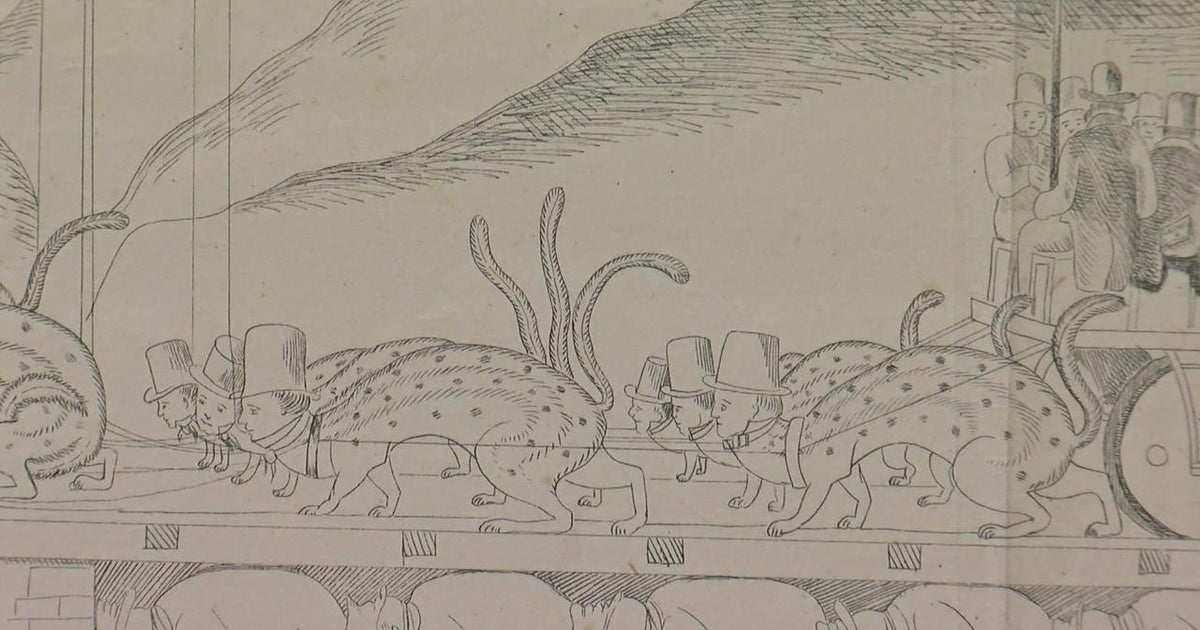 Why Is Minnesota The ‘Gopher State’? - CBS Minnesota