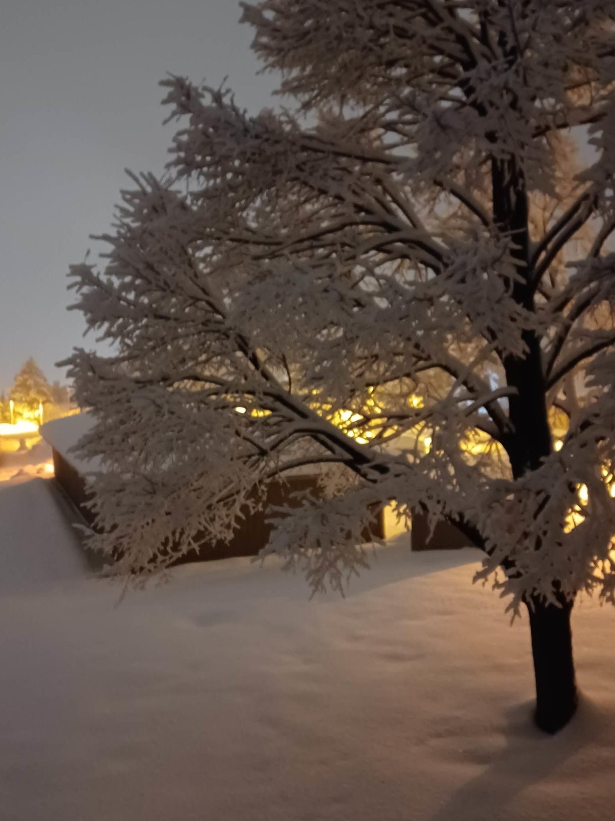 NEXT Weather gallery: Snowstorms of 2022-2023