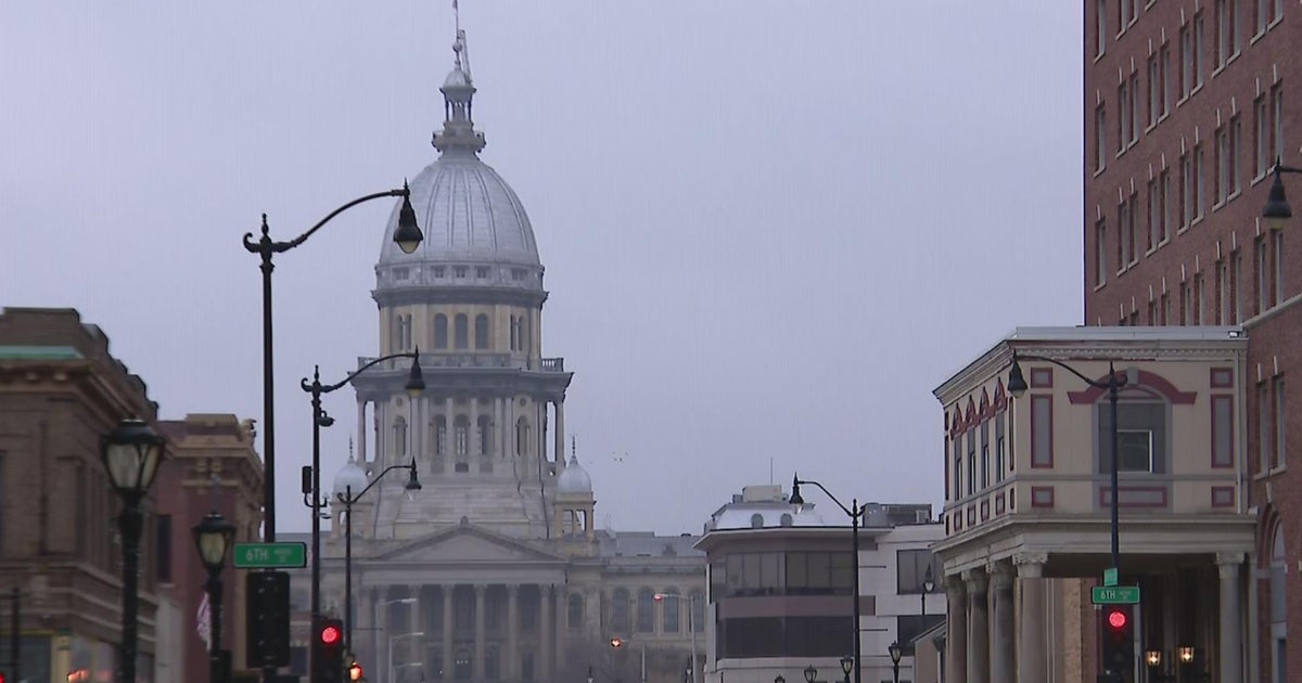Illinois State Senate passes assault weapons ban - CBS Chicago