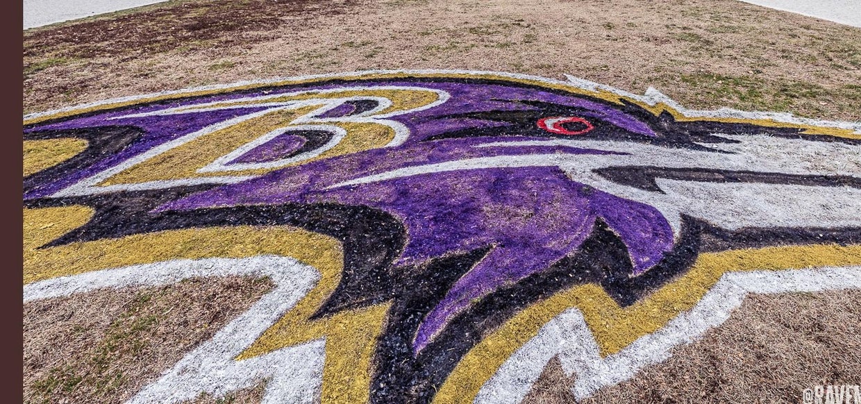 Painting the town purple: Baltimore community putting support behind ...